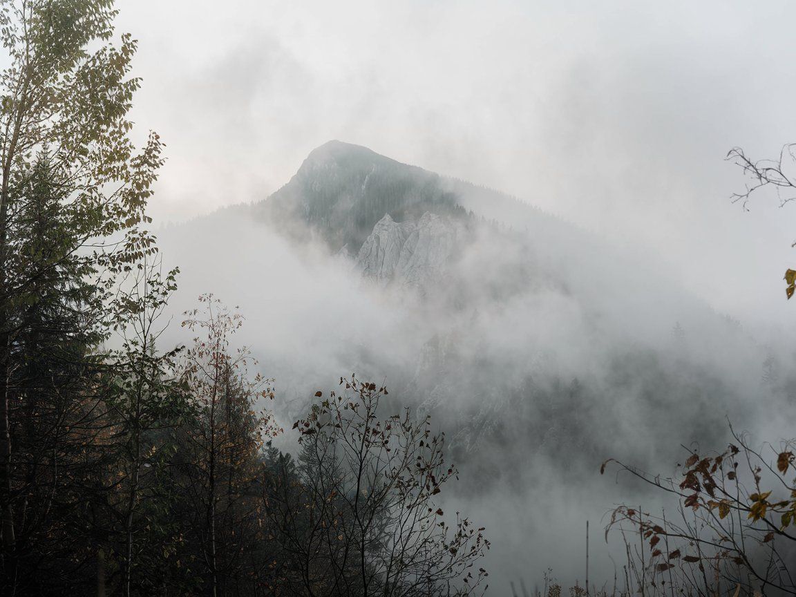 Haunted Iron Goat Trail: Washington’s Most Ghostly Hiking Experience ...